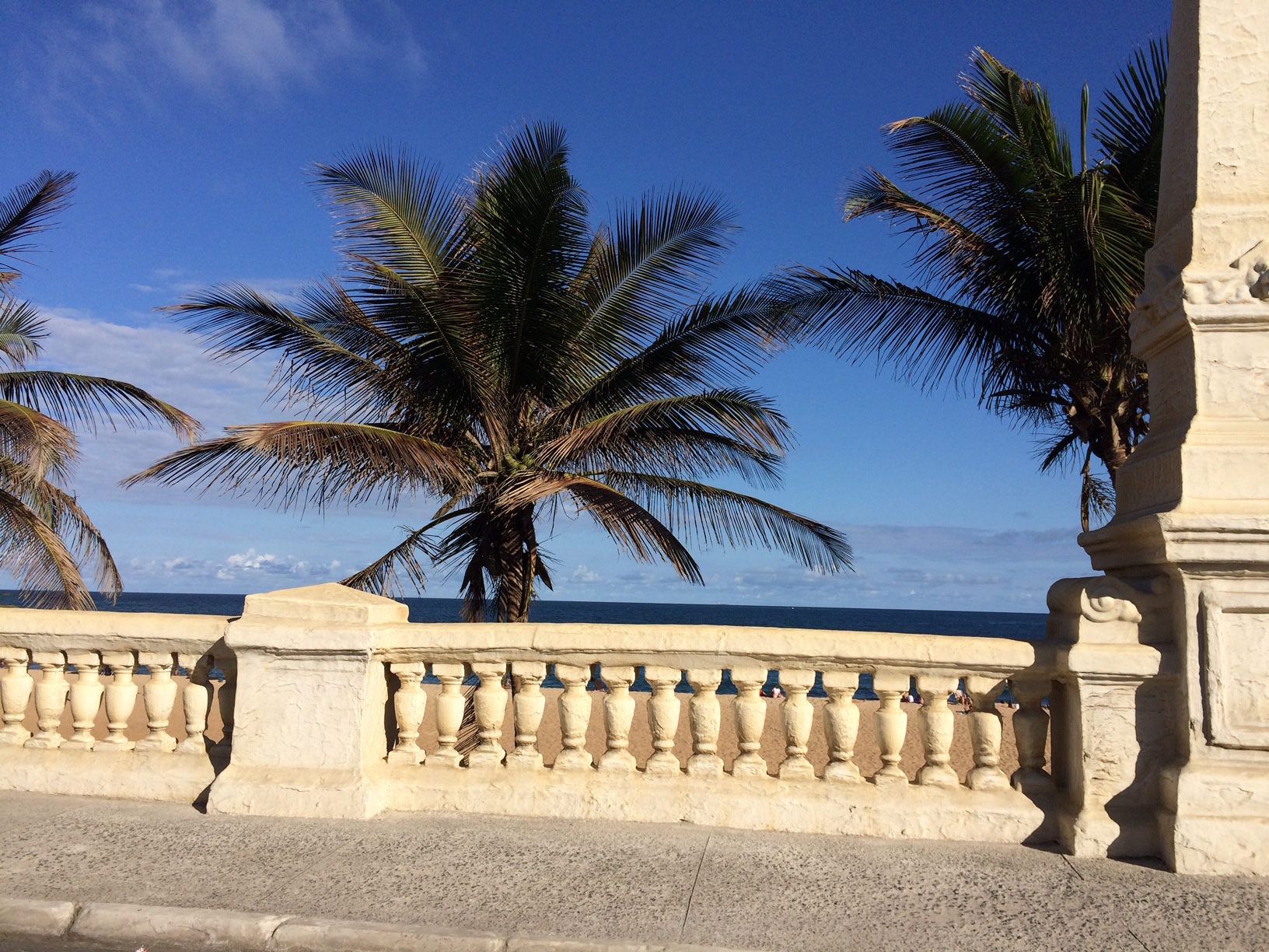 Presentations – Professor Michelle Sheehan